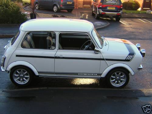 Mini Group 5 Race Arch | ABS Motorsport